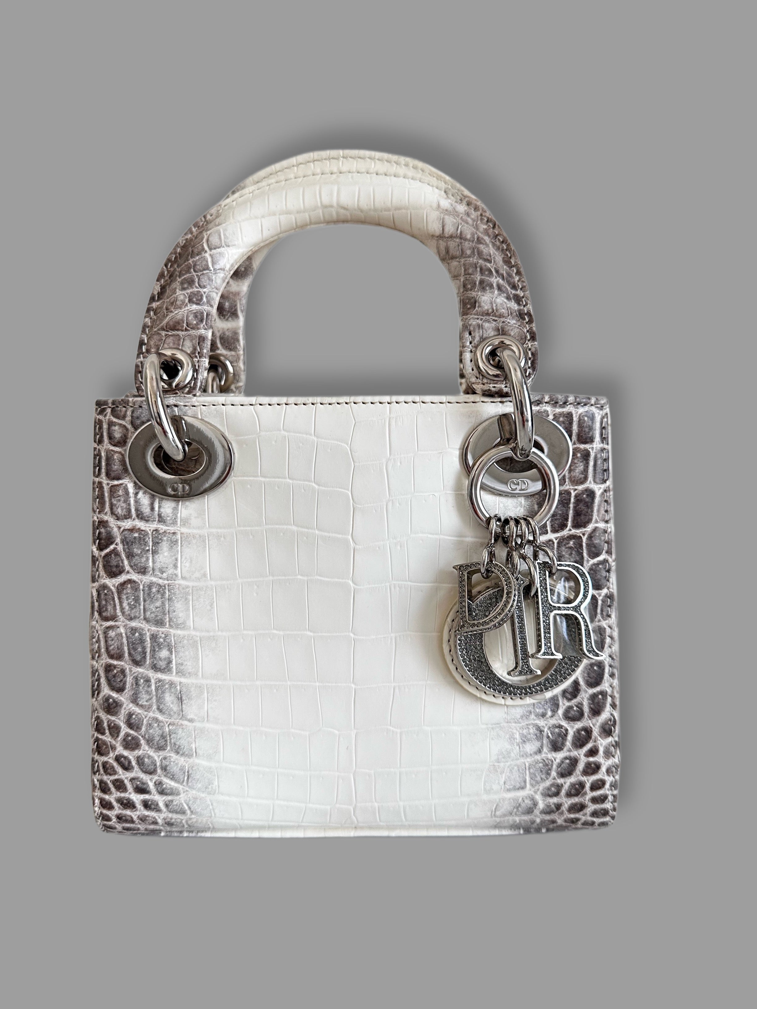 Christian Dior Lady Dior Himalayan BRAND NEW – Designers Pivot