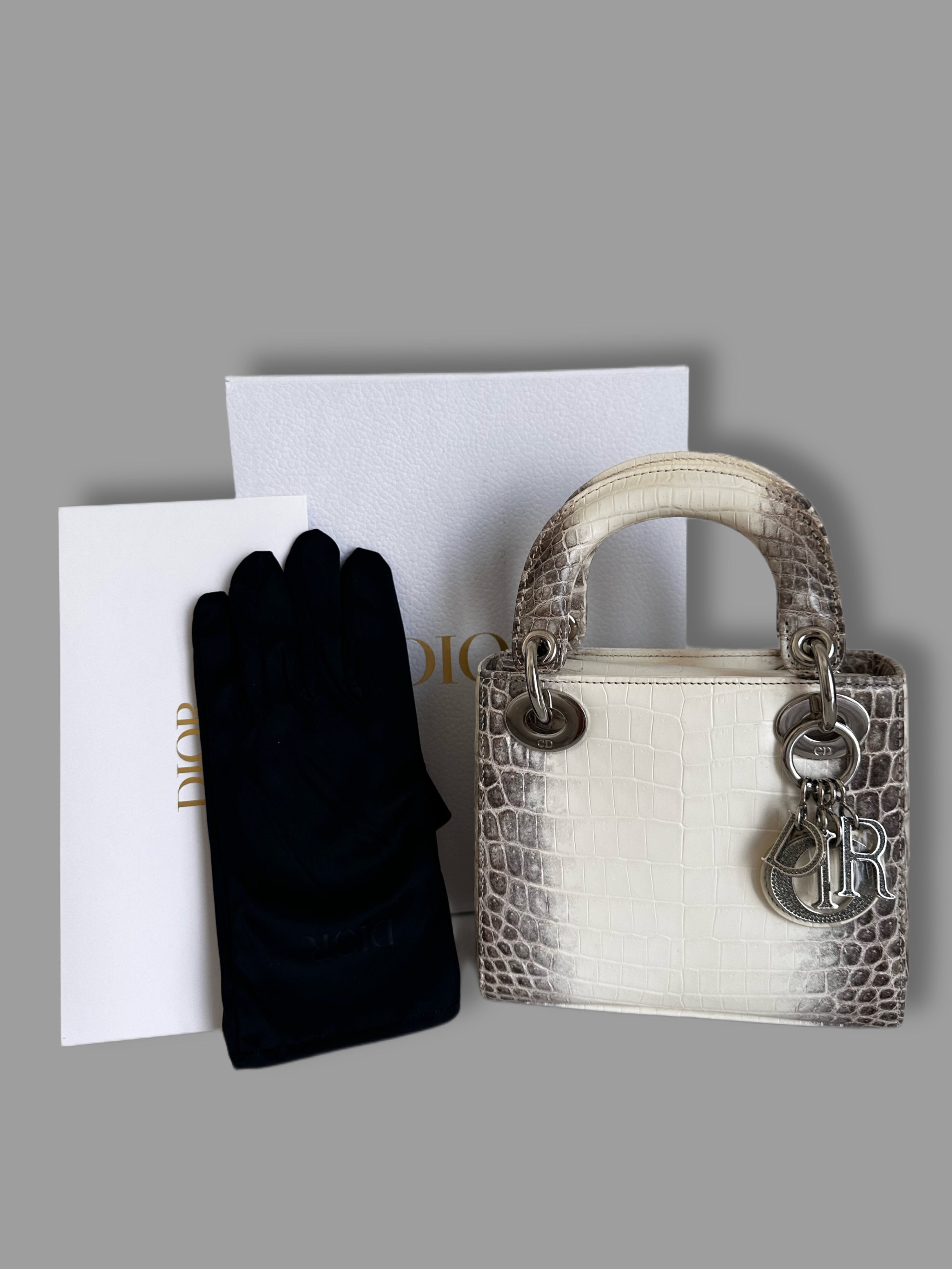 Christian Dior Lady Dior Himalayan BRAND NEW – Designers Pivot